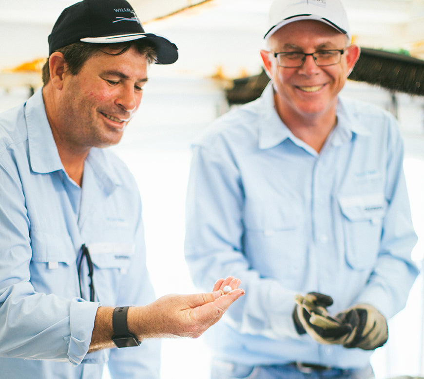 30 Years Of Willie Creek Pearls - An Interview with Robert Banfield