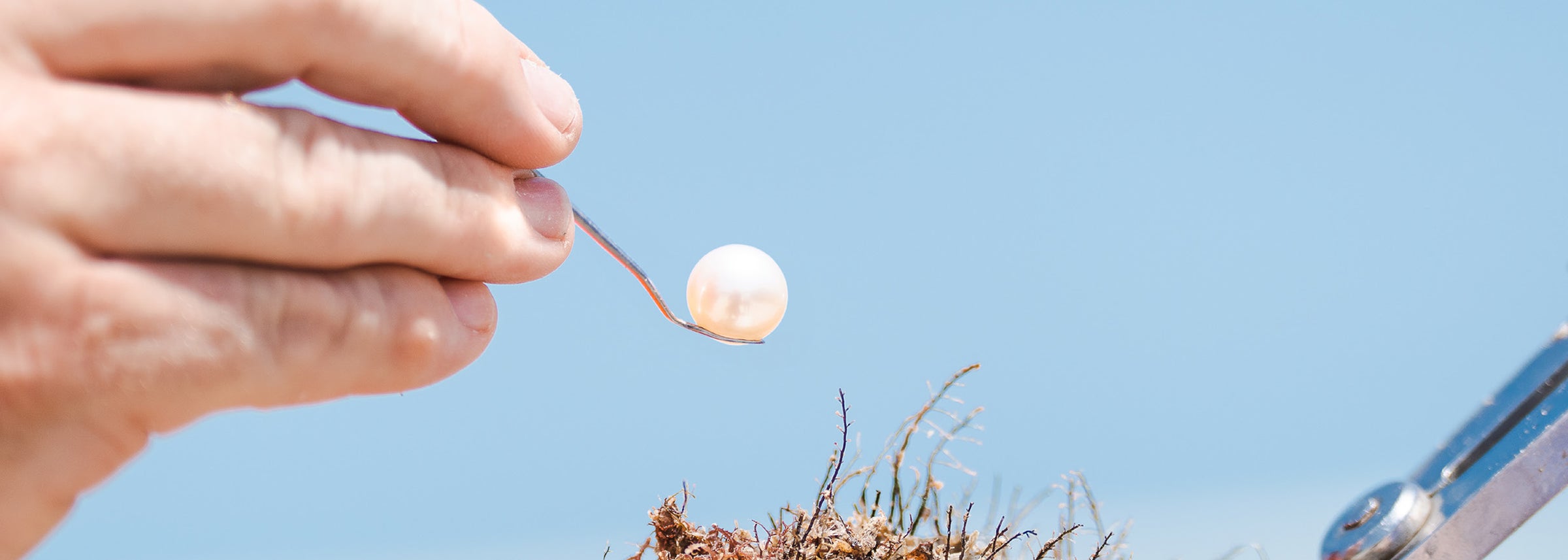 Discover Pearling Tour | Broome Tours | Willie Creek Pearls
