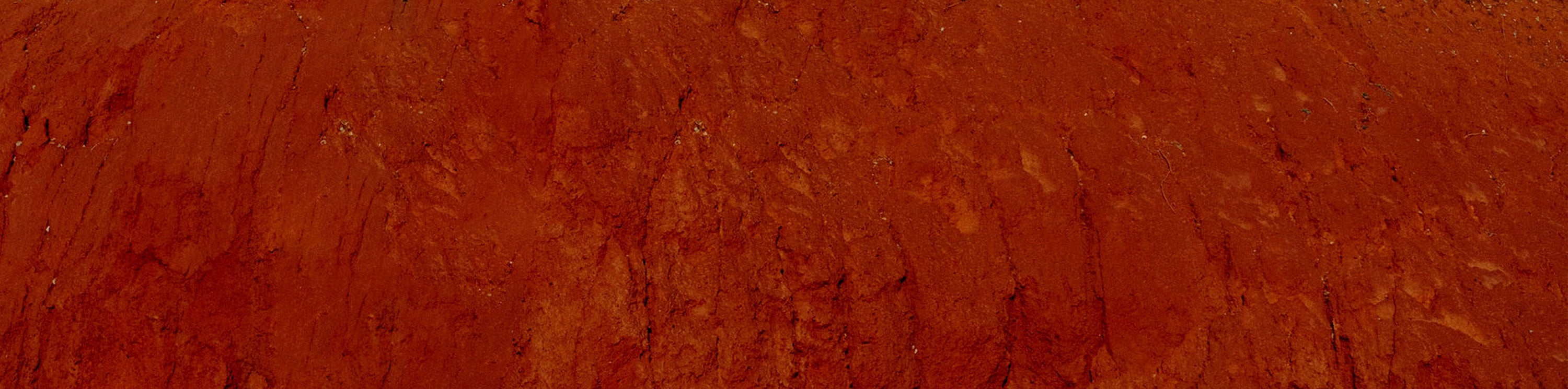 Jewellery Size Guide | Rings, Bracelets and Necklaces | Willie Creek Pearls